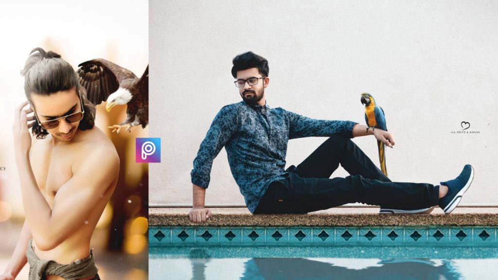 🔥Picsart Parrot Photo Editing Background & Png Download